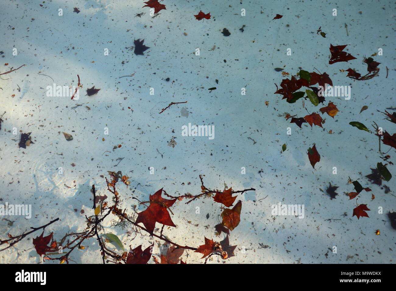 Floating surface swimming pool hi-res stock photography and images - Alamy