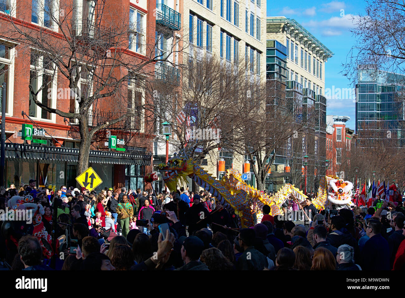 Chinese Yellow Dragon during Parade Stock Photo - Alamy