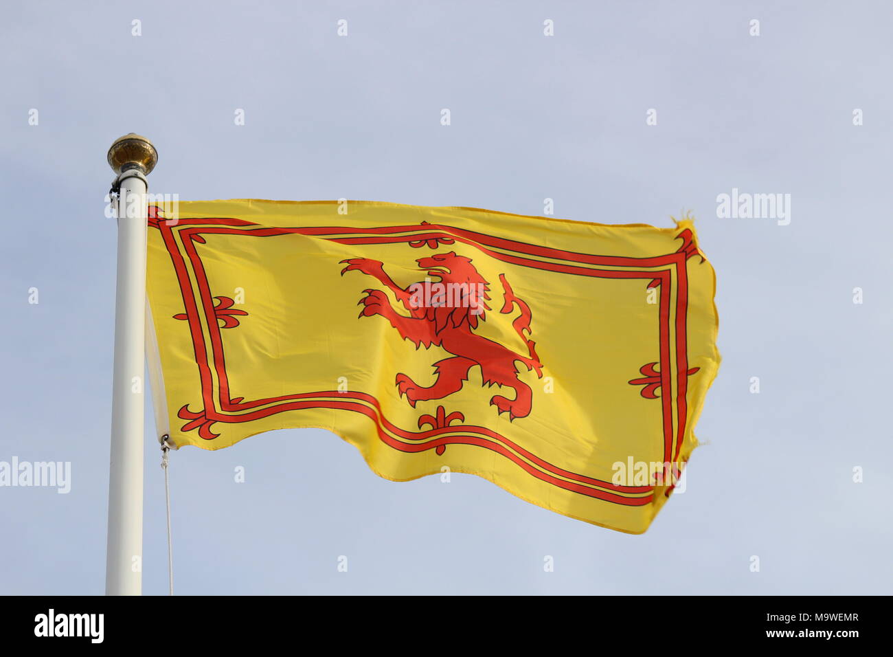 Lion rampant flag hi-res stock photography and images - Alamy