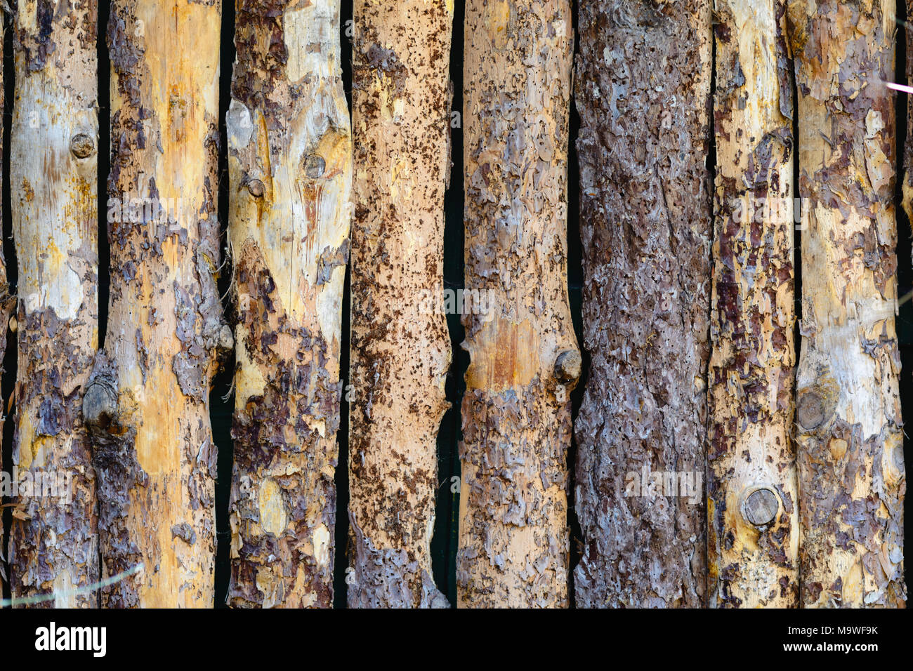 Log vertical log fence with bark rustic hi-res stock photography and ...