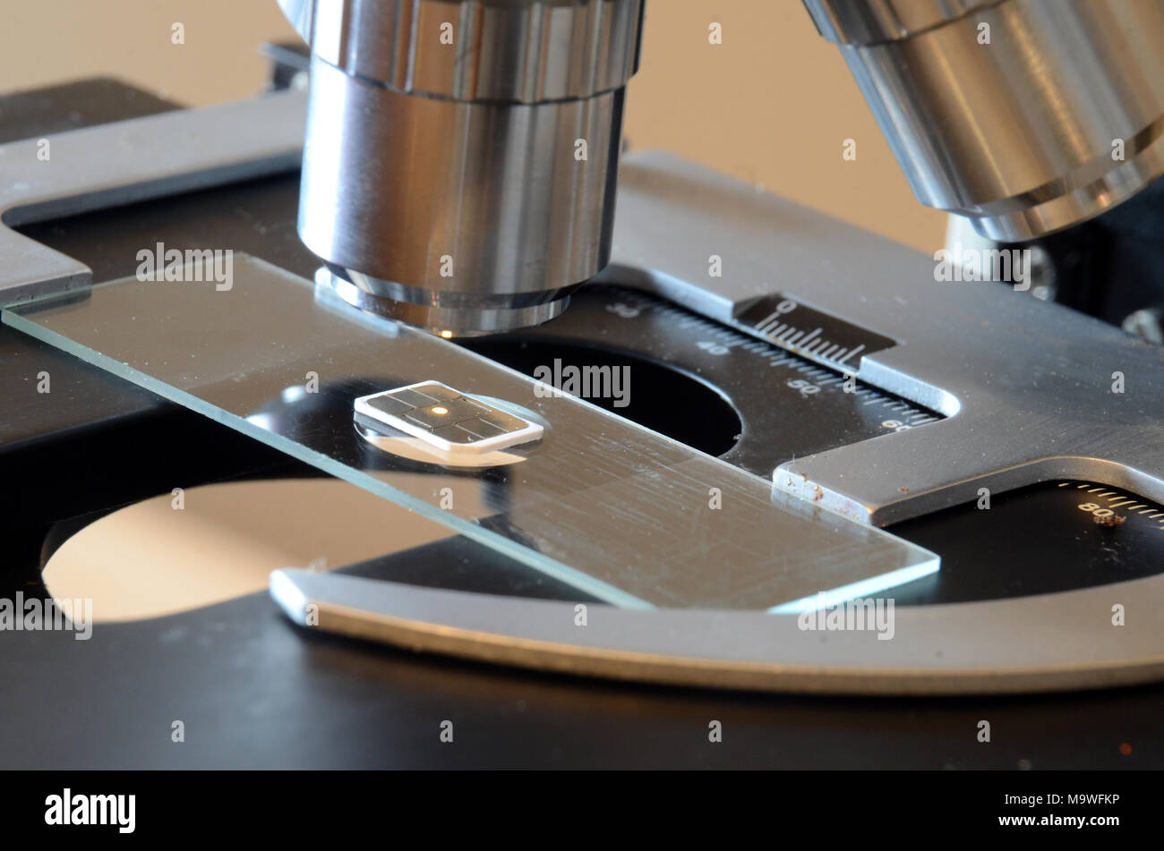 Under a microscope hi-res stock photography and images - Alamy