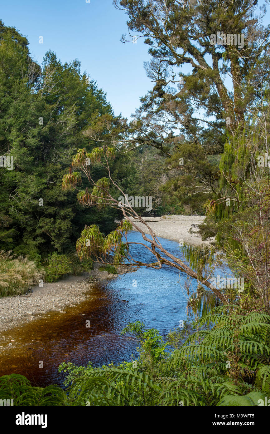 Oparara River, Kahurangi National Park, South Island, New Zealand Stock ...