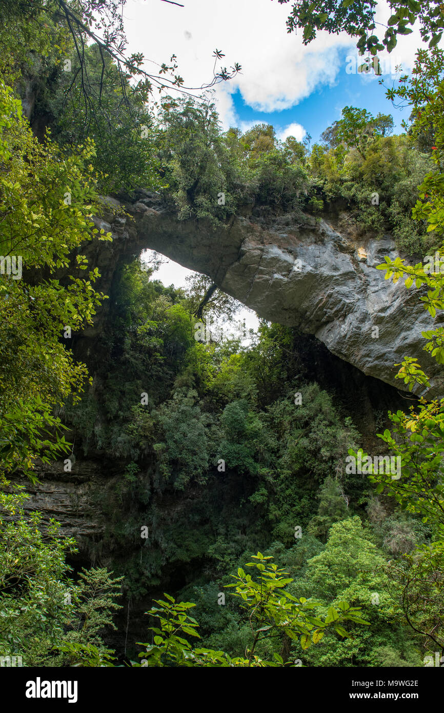 Oparara Arch, Kahurangi National Park, South Island, New Zealand Stock ...