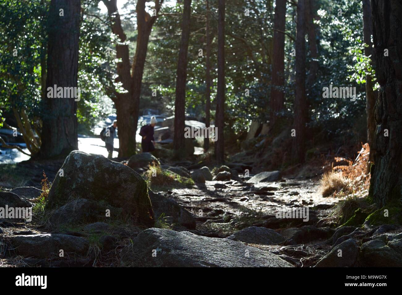 Path along a stream hi-res stock photography and images - Alamy