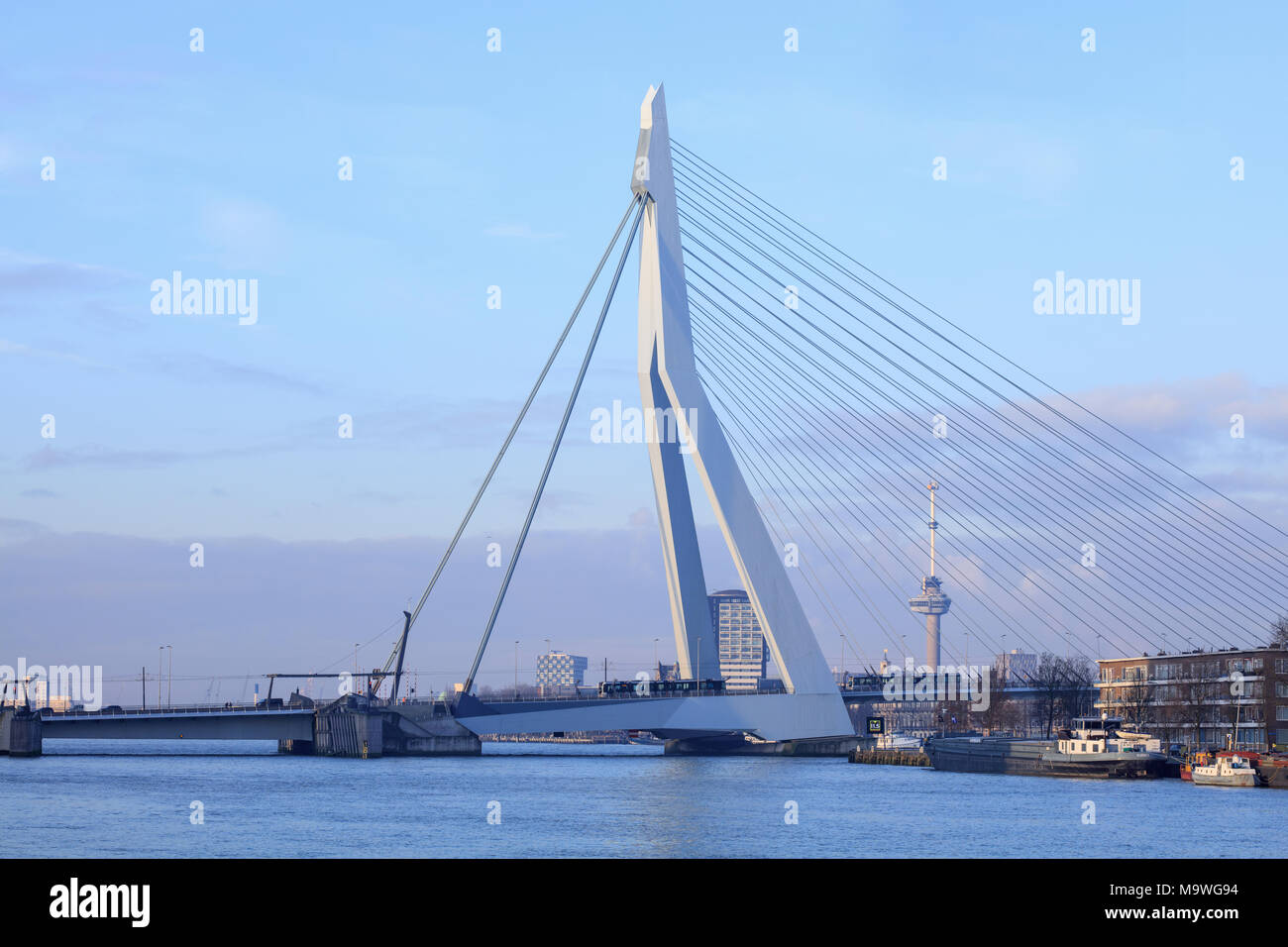 ROTTERDAM-FEBRUARY 8, 2018. The 800 meter long Erasmus Bridge, built ...