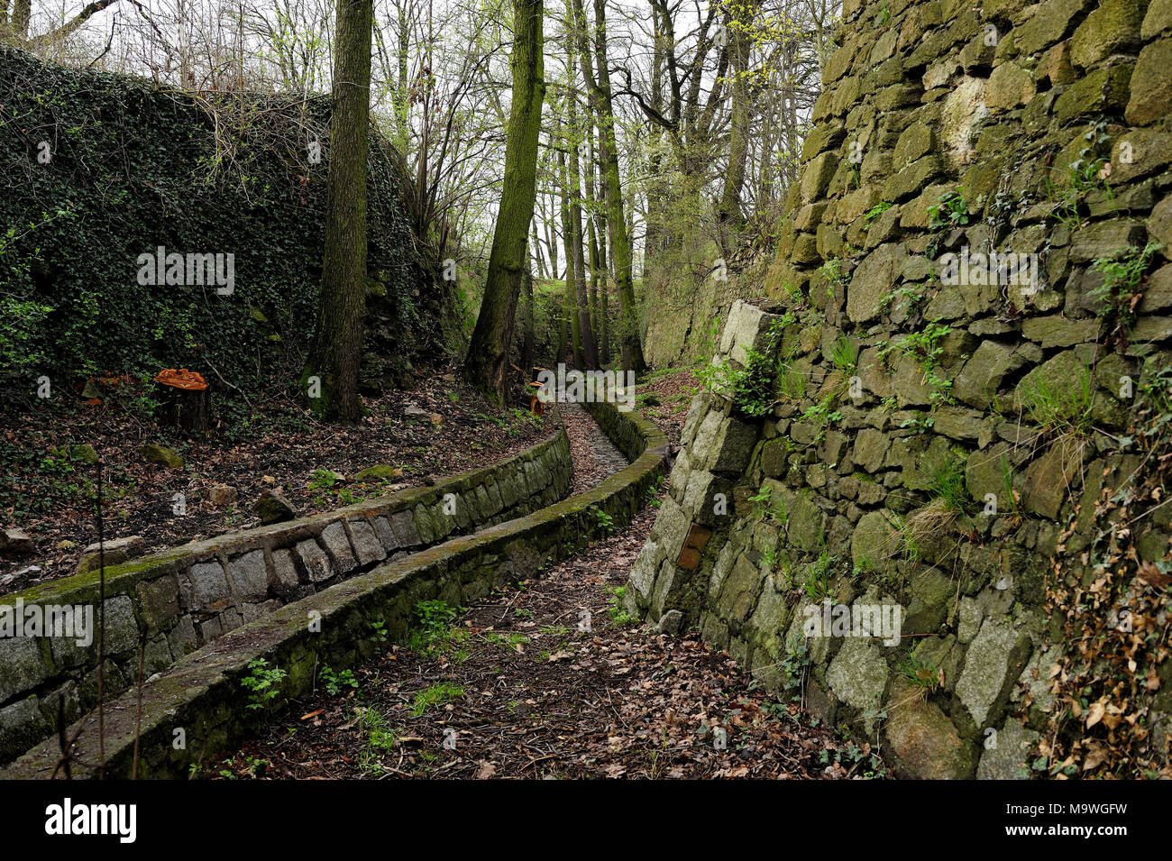 Swidnica, Dolny Slask, Polska, Fleche of Nowy Mlyn (New Mill ), old ...