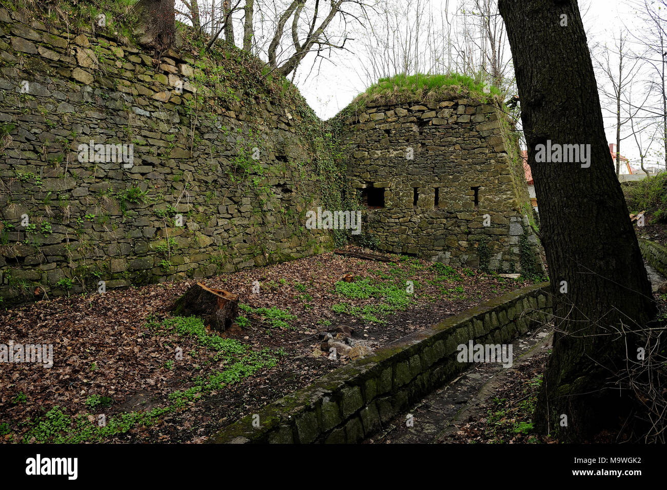 Swidnica, Dolny Slask, Polska, Fleche of Nowy Mlyn (New Mill ), old ...