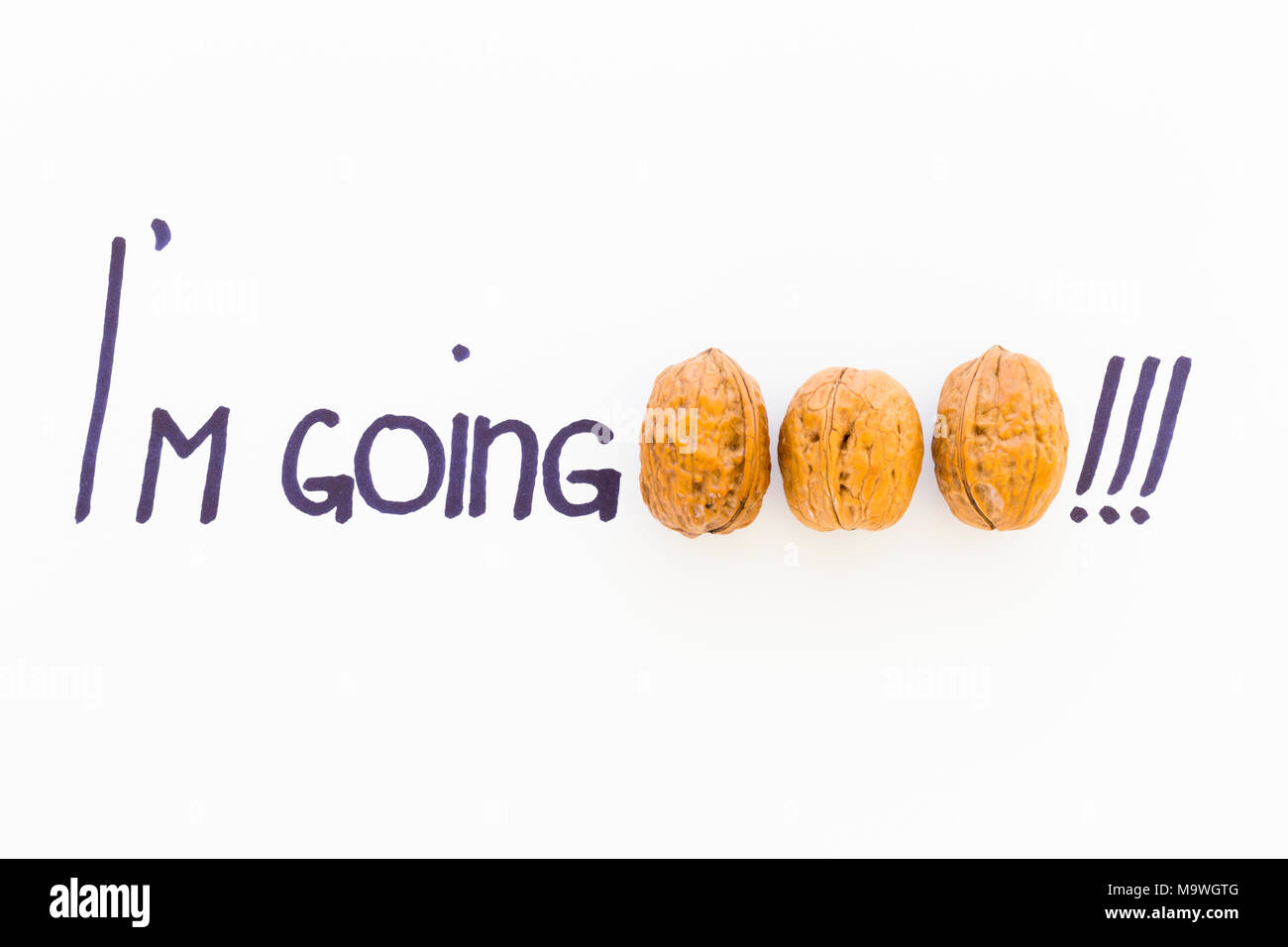 Concept of the phrase I'm going nuts with brown nuts and black ink hand ...