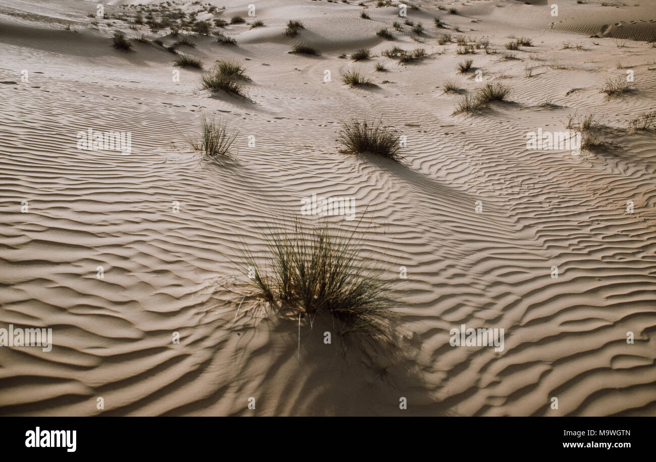 Desert sand and dunes Stock Photo - Alamy