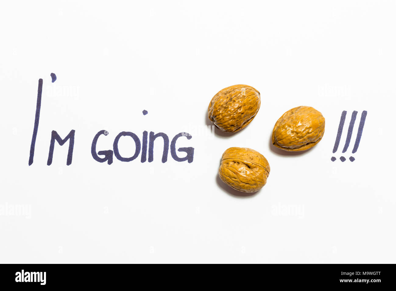 Concept of the phrase I'm going nuts with brown nuts and black ink hand ...