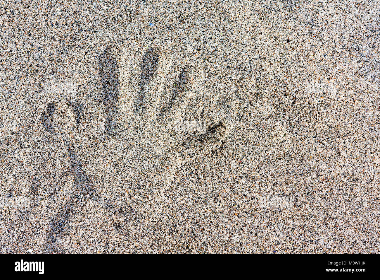 Imprinting background hi-res stock photography and images - Alamy