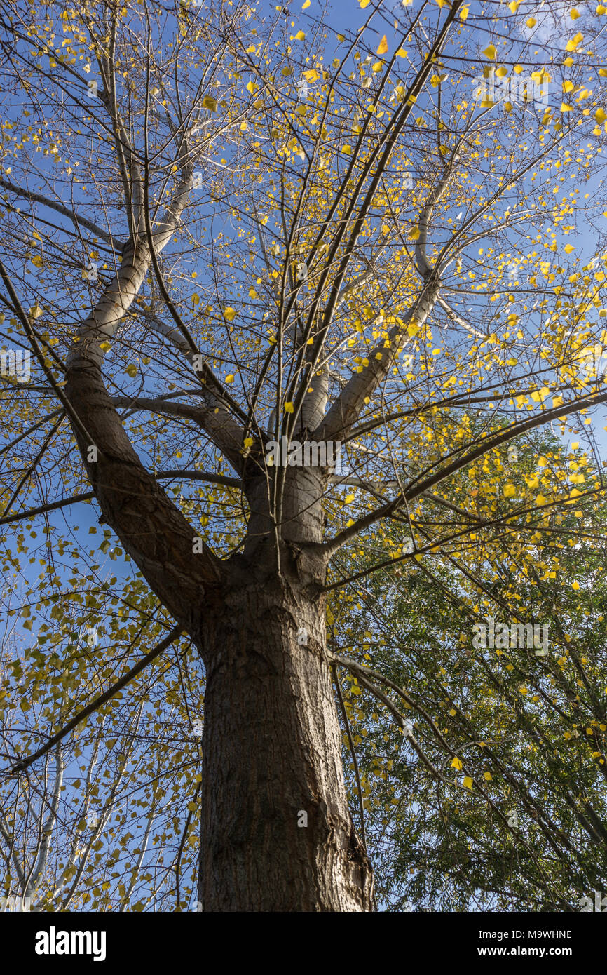 How to draw perspective hi-res stock photography and images - Alamy