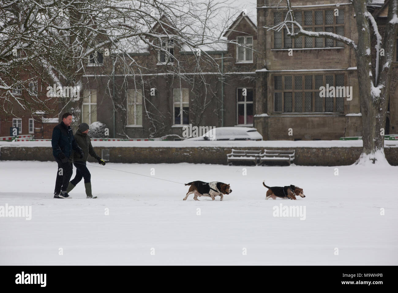 Salisbury cathedral snow hi-res stock photography and images - Alamy