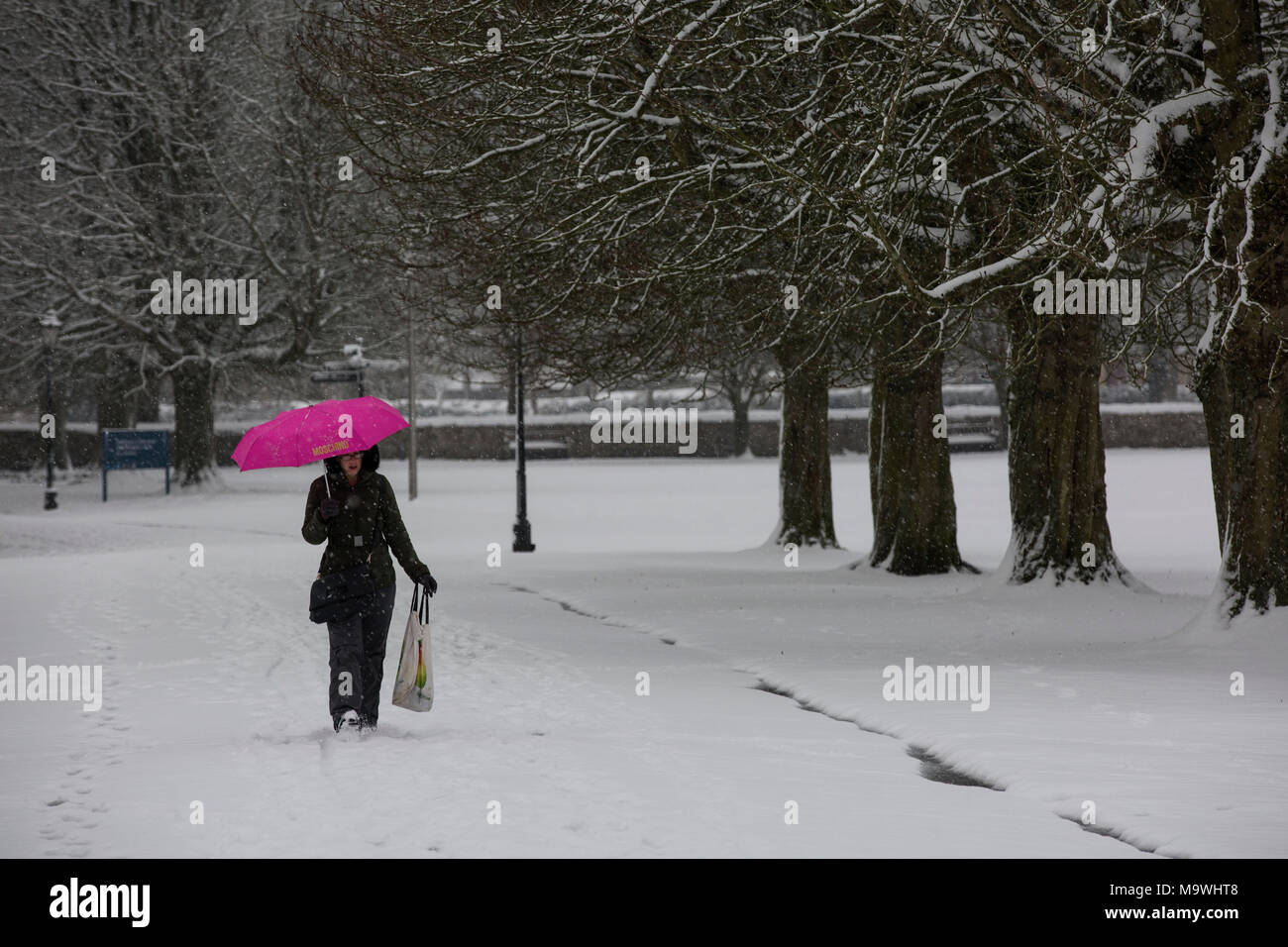 Late winter snow blankets the city of Salisbury, the only cathedral ...