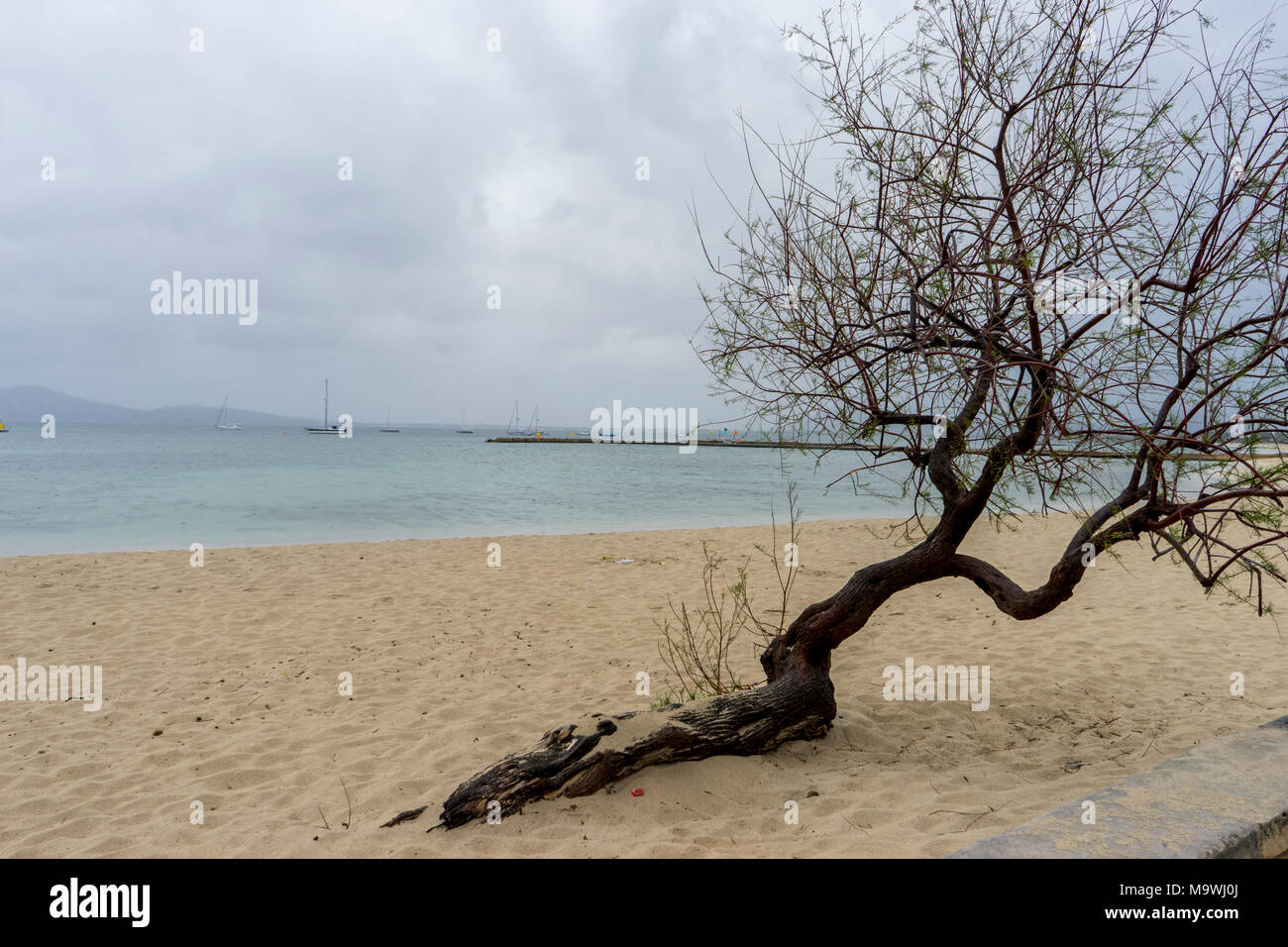 Cloudscape, Rain over the stormy sea, Mallorca island in Spain Stock ...