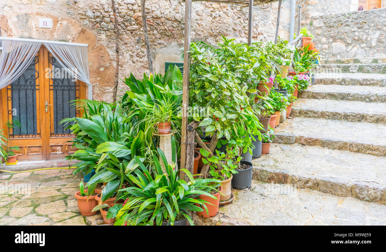 Vacation, Beautiful street in Valldemossa with traditional flower ...
