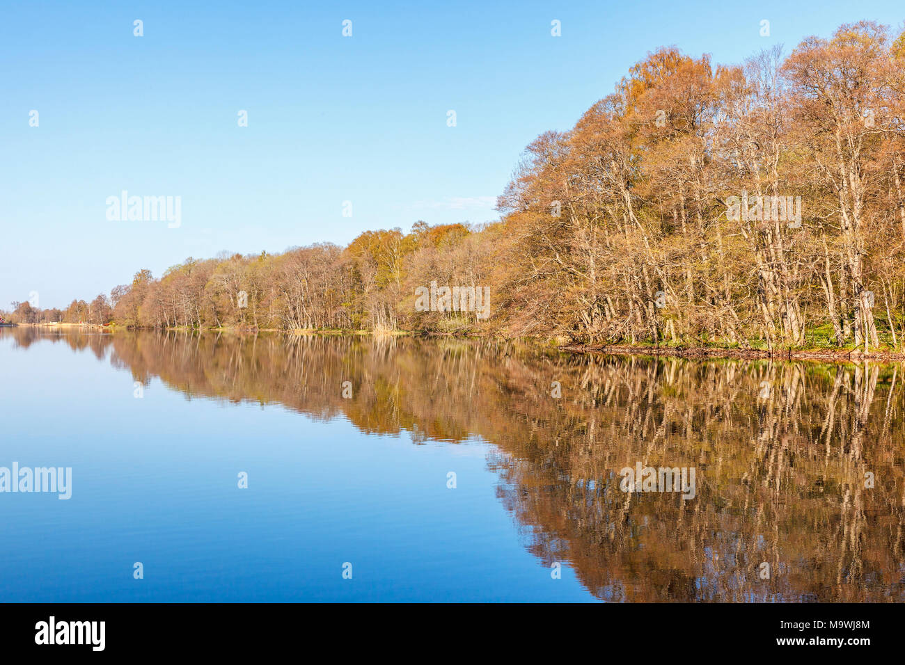 Flat calm lake surface hi-res stock photography and images - Alamy