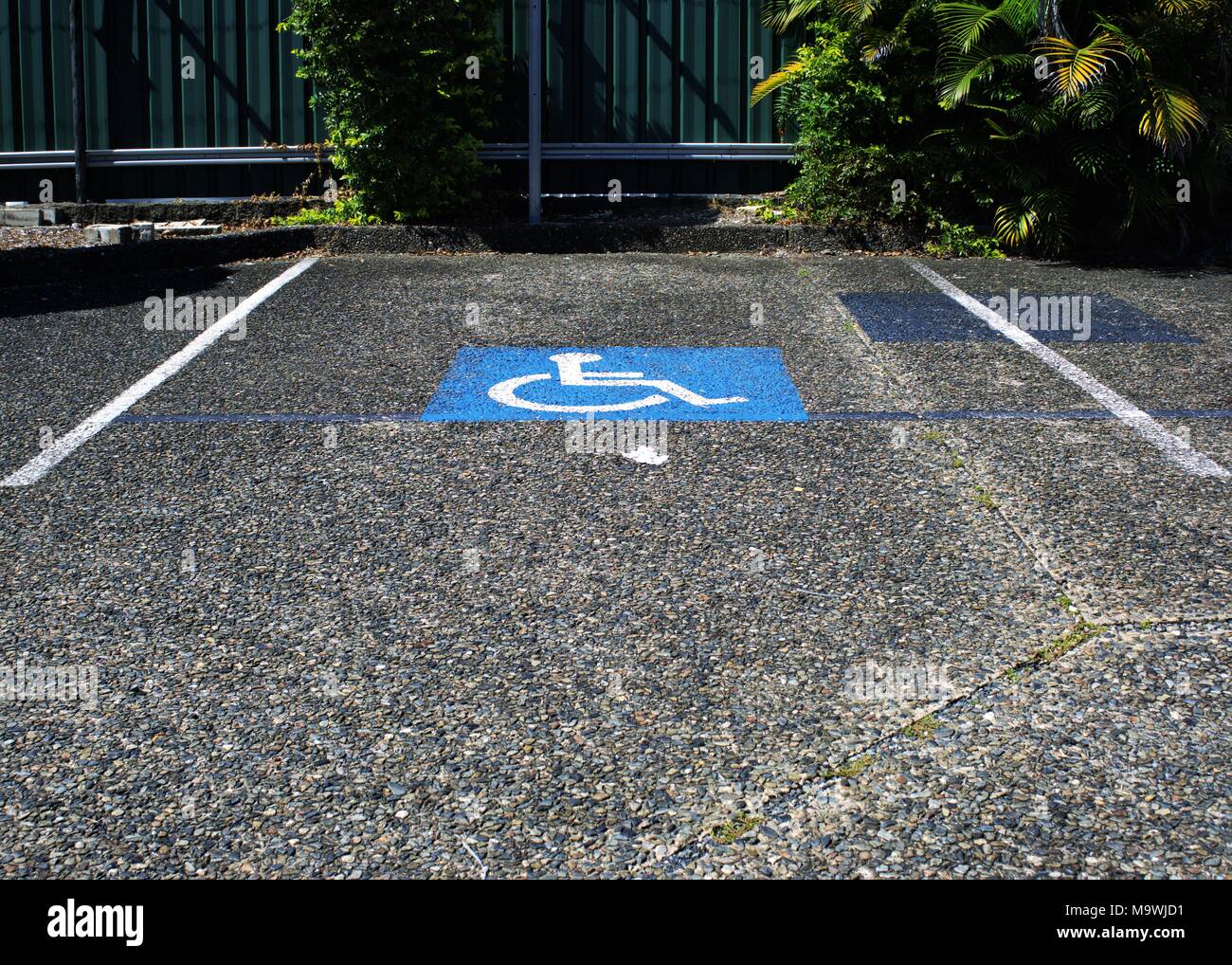 Physical Disability Stock Photos & Physical Disability Stock Images - Alamy