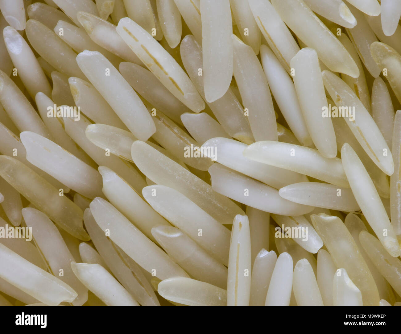 close up of basmati rice Stock Photo - Alamy