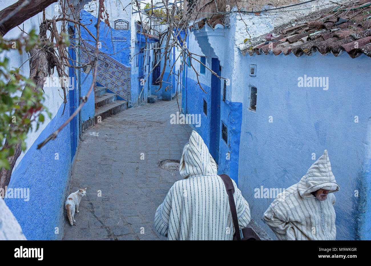 View of chefchaouen from above hi-res stock photography and images - Alamy