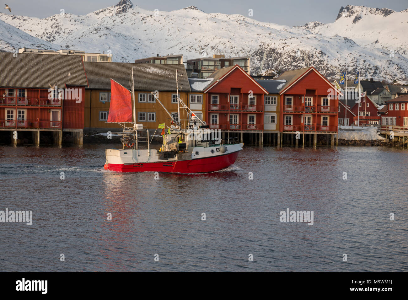 Svinoya Rorbuer cabins in the Lofoten Islands of Norway Stock Photo - Alamy