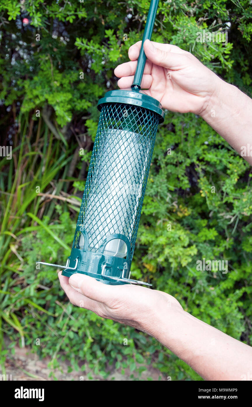 Squirrel buster hi-res stock photography and images - Alamy