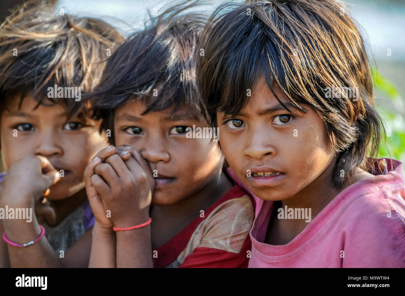 Wana ethnic children in the Morowali reserve Stock Photo - Alamy