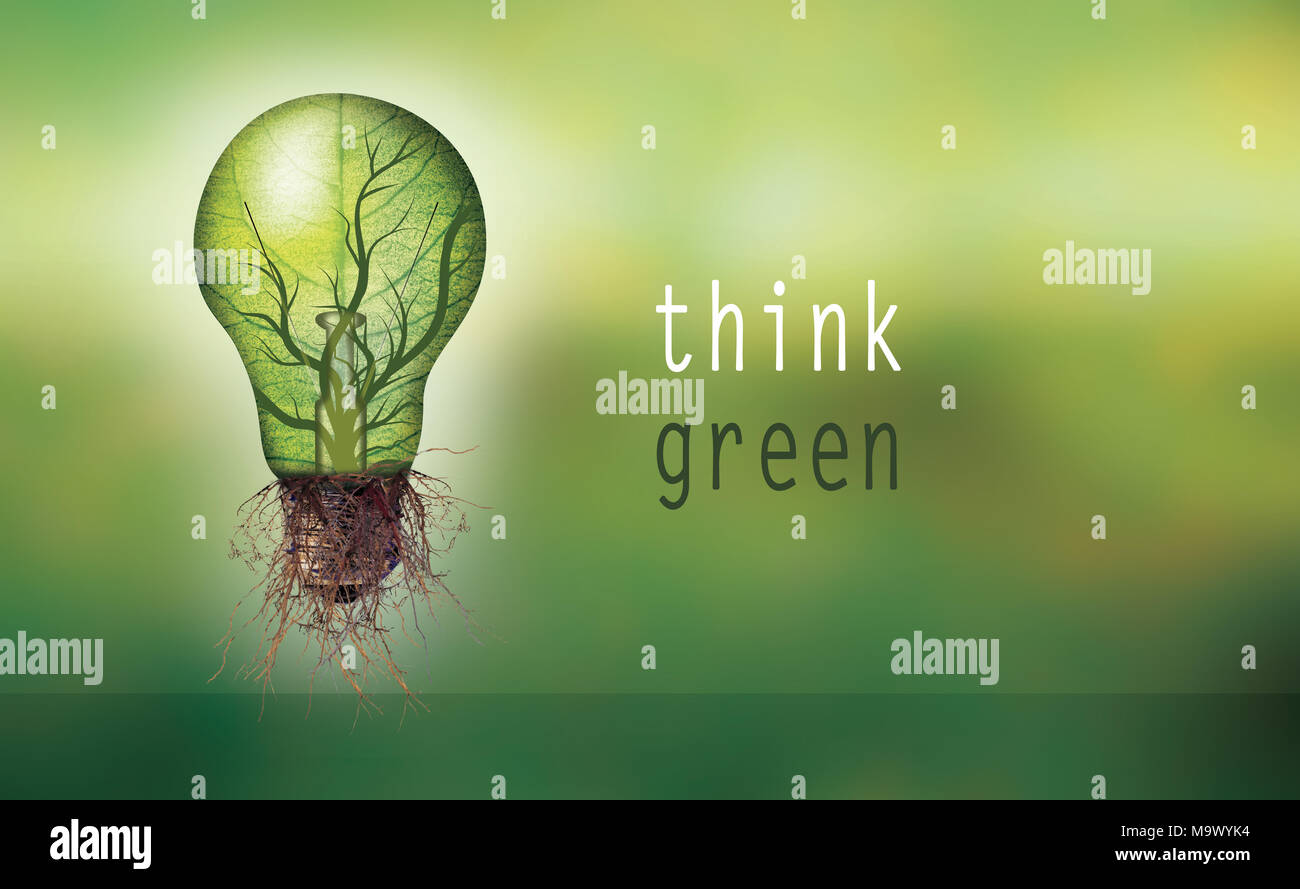 Banner Renewable energy concept - Eco light bulb with leaf and branches ...