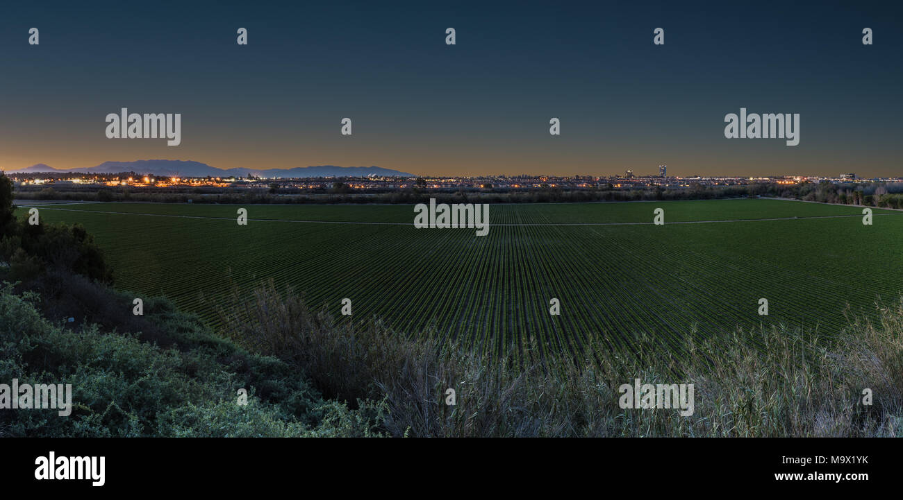 Panoramic view at dawn as gradient orange color rises in horizon behind ...