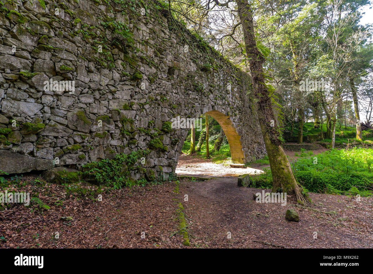 Aldan hi-res stock photography and images - Alamy