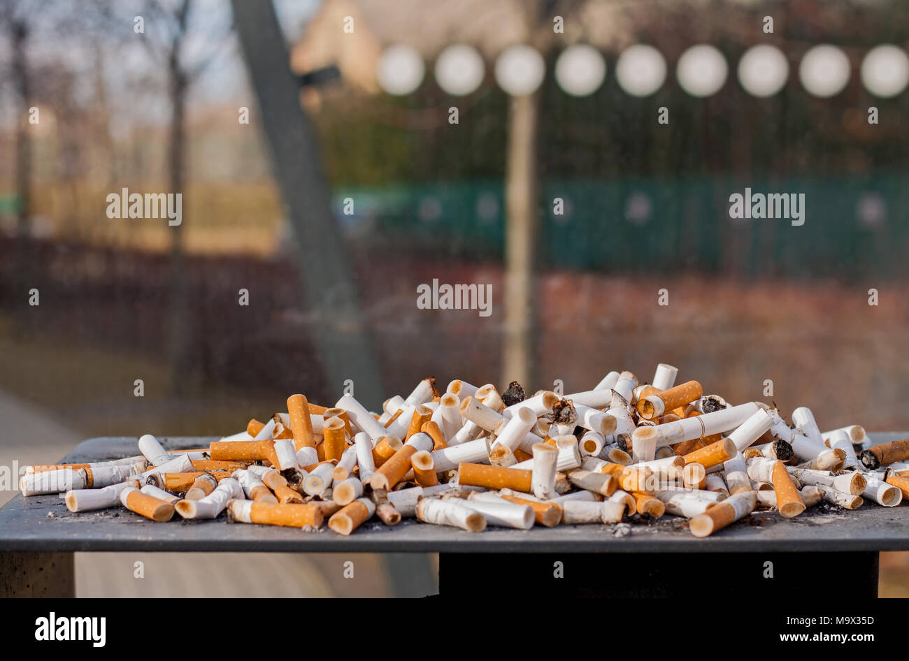 Cluster of cigarette butts gathered from smokers in an ashtray of a bus ...