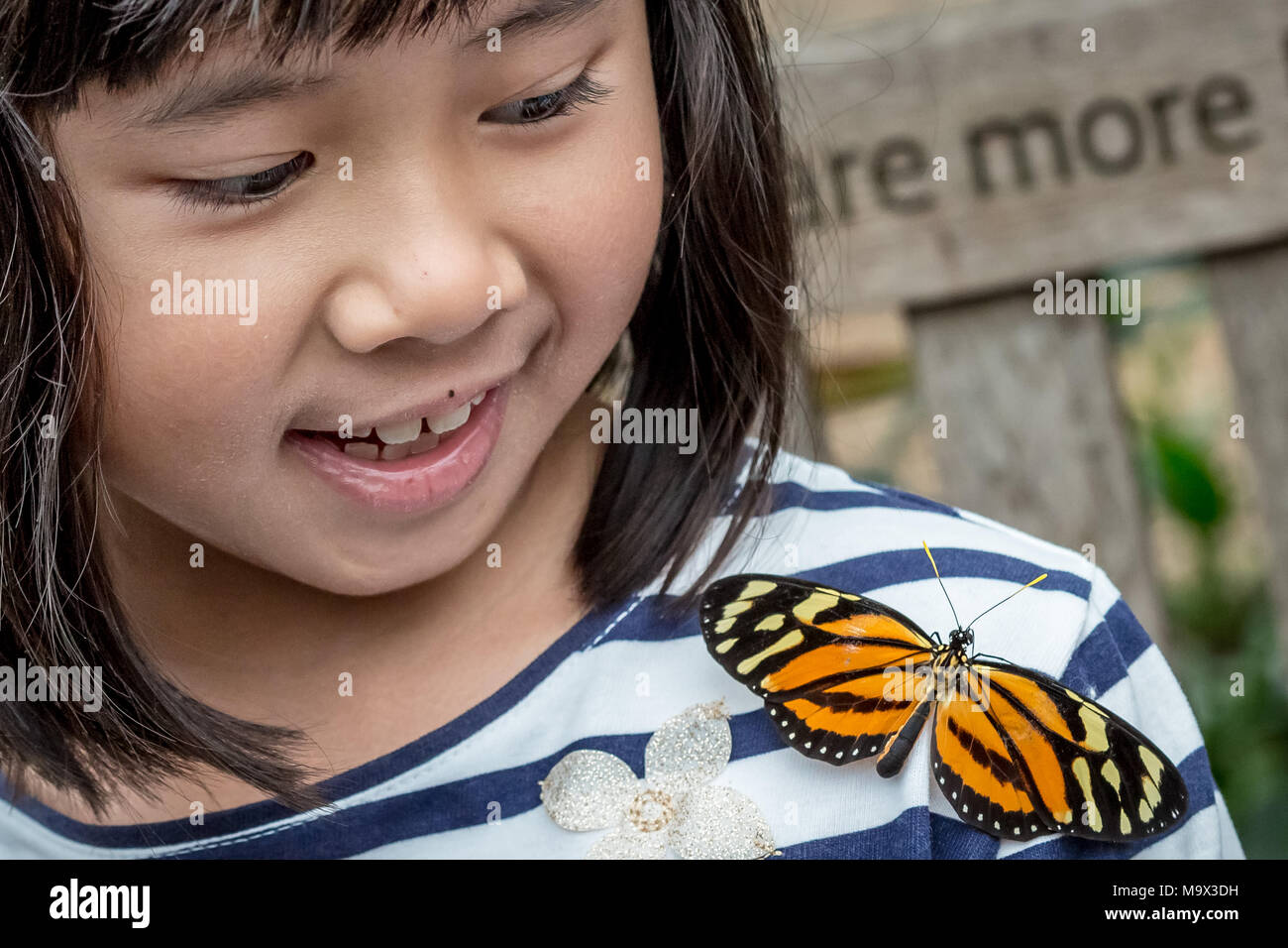 London, UK. 28th March, 2018. Live tropical butterflies fill the ...
