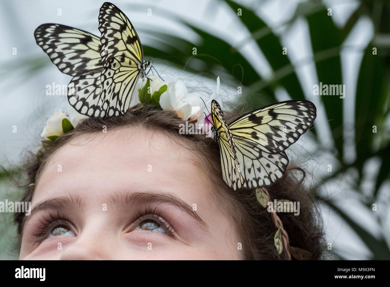 London, UK. 28th March, 2018. Live tropical butterflies fill the ...