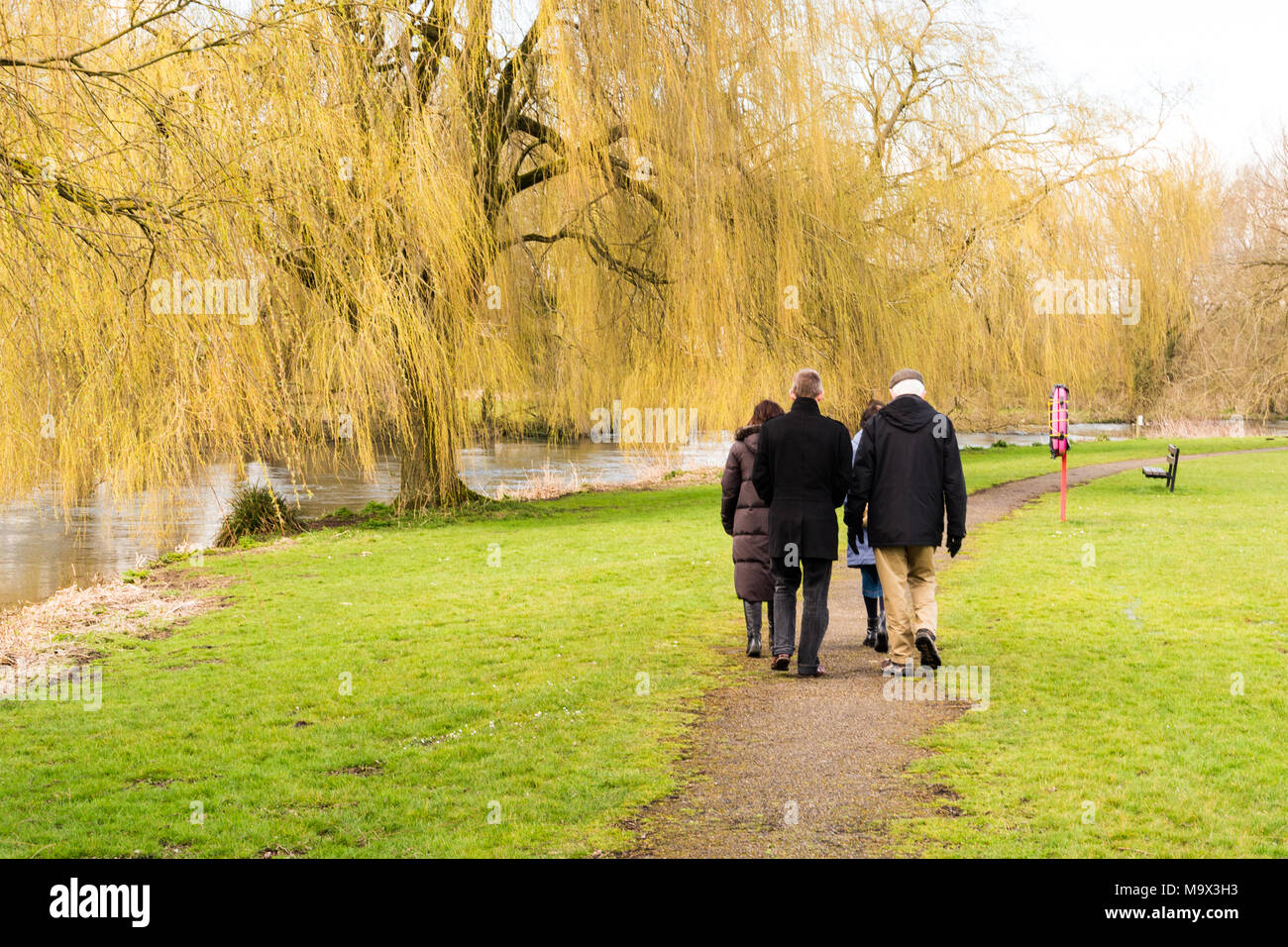 A walk in the park, Fordingbridge, Hampshire, England, UK, March. Group ...