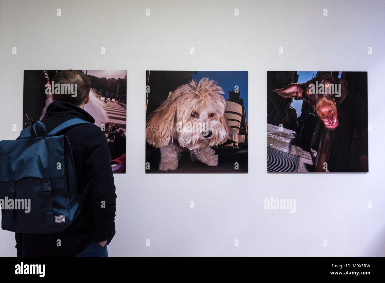 Dougie wallace blackpool hi-res stock photography and images - Alamy