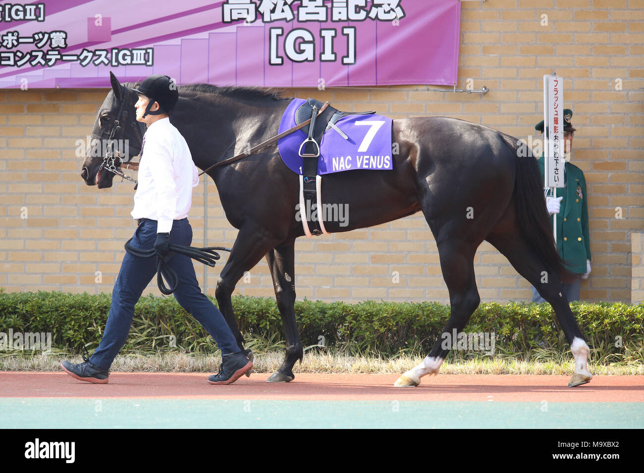 Aichi, Japan. 25th Mar, 2018. Nac Venus Horse Racing : Nac Venus is led ...