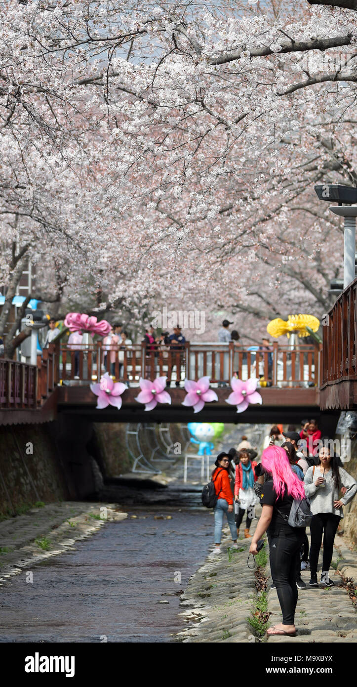 Jinhae naval port festival hi-res stock photography and images - Alamy