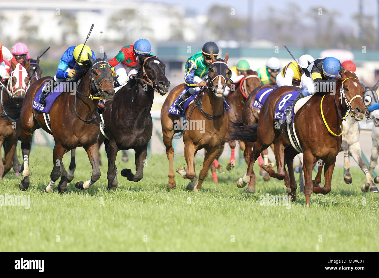 Donki japan hi-res stock photography and images - Alamy