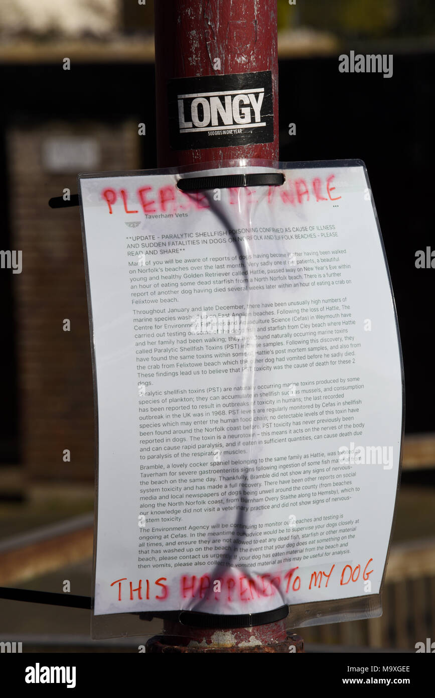 Paralytic shellfish poisoning hi-res stock photography and images - Alamy