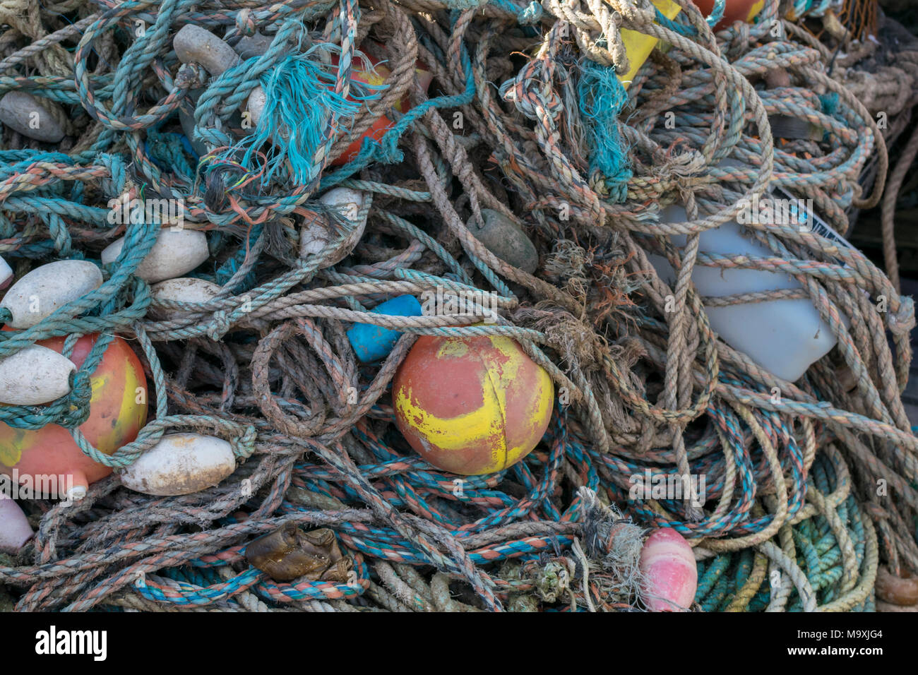 Tangled fishing ropes and buoys Stock Photo - Alamy