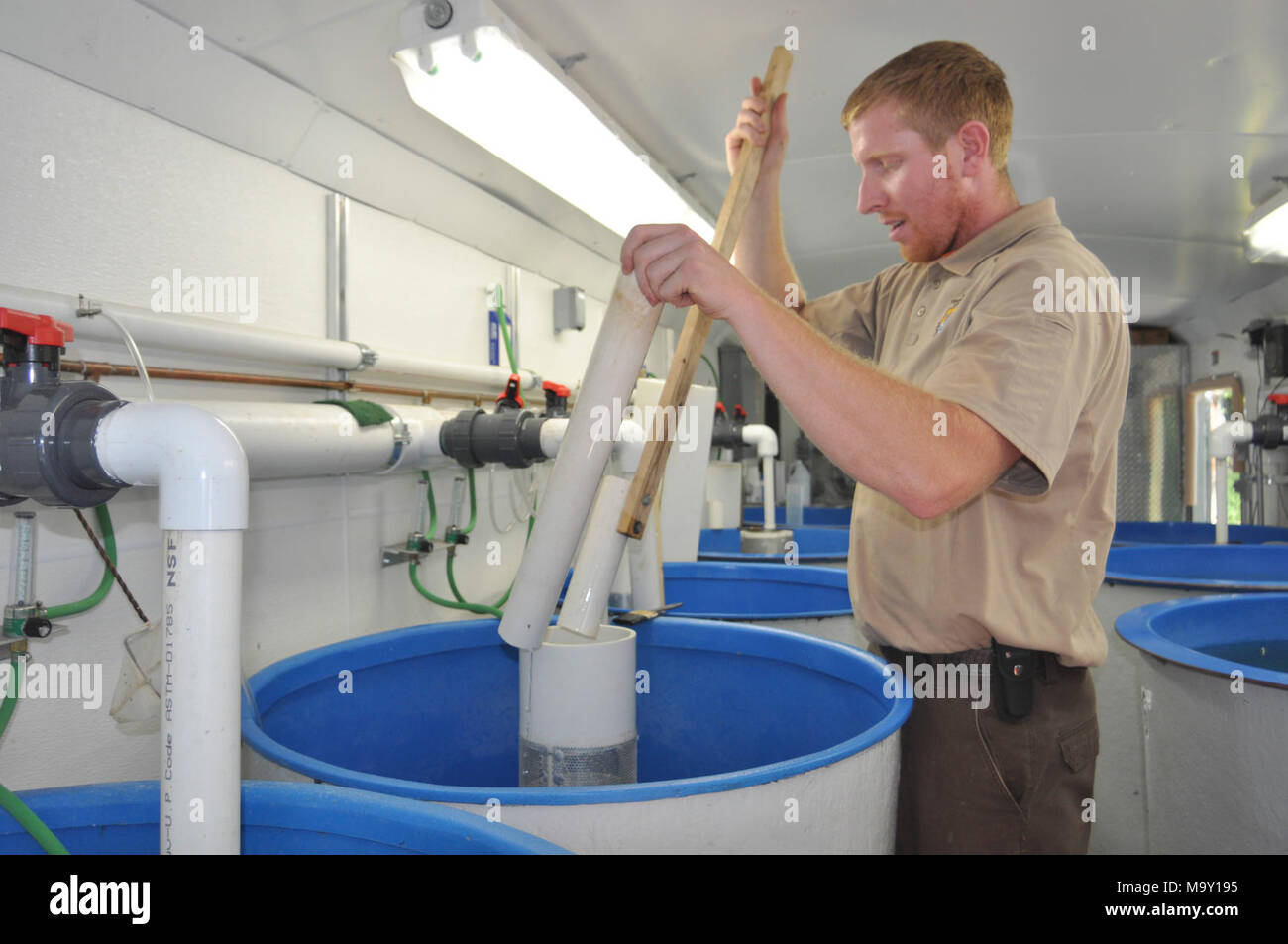 Sturgeon Streamside Rearing Unit. Sturgeon Streamside Rearing Unit ...