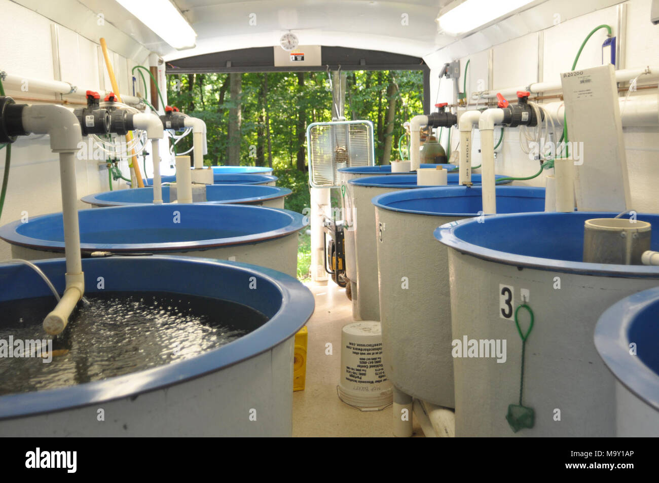 Sturgeon Streamside Rearing Unit. Sturgeon Streamside Rearing Unit ...