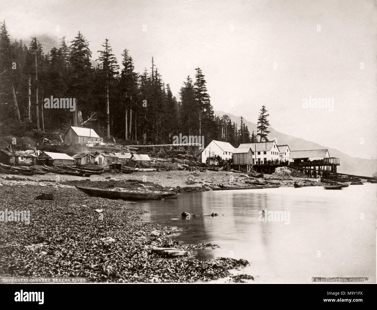 c. 1880s vintage photograph - North America - Inverness fish cannery ...
