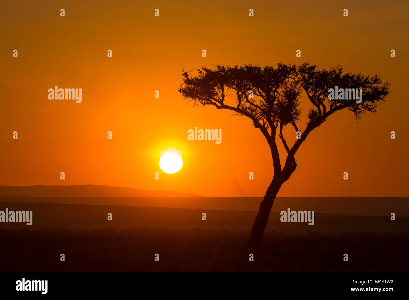 African Sunrise Landscape Stock Photo - Alamy