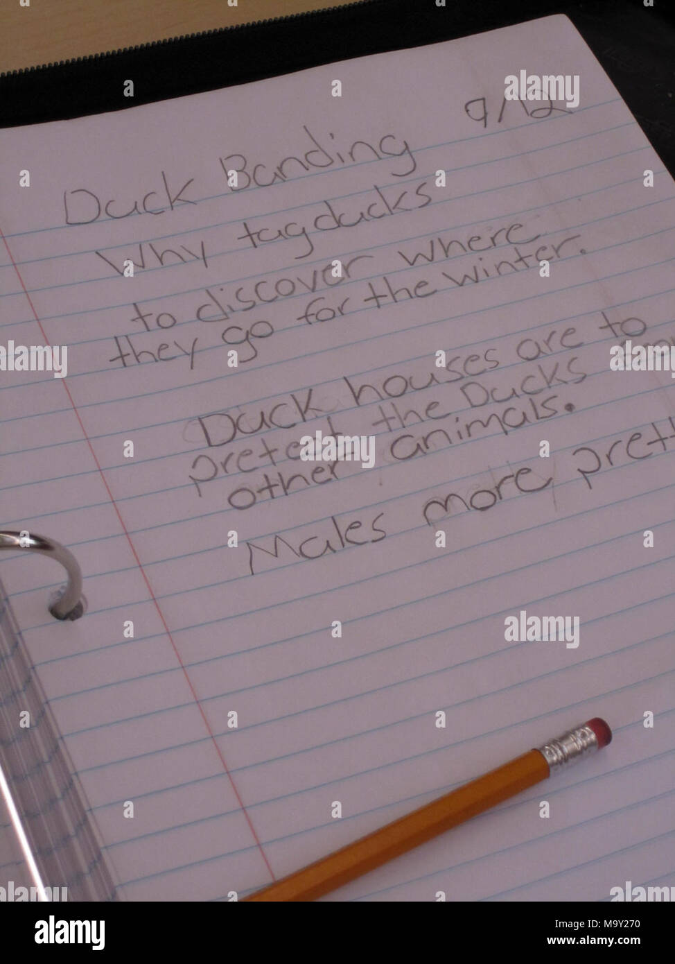 Fauna observations hi-res stock photography and images - Alamy