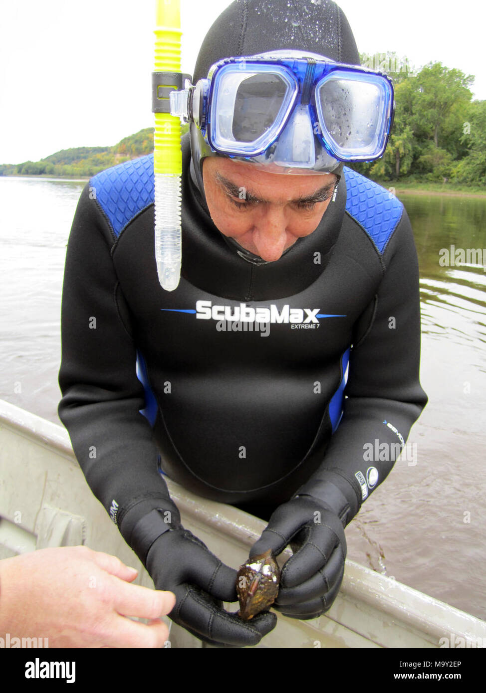 Monkeyface hi-res stock photography and images - Alamy