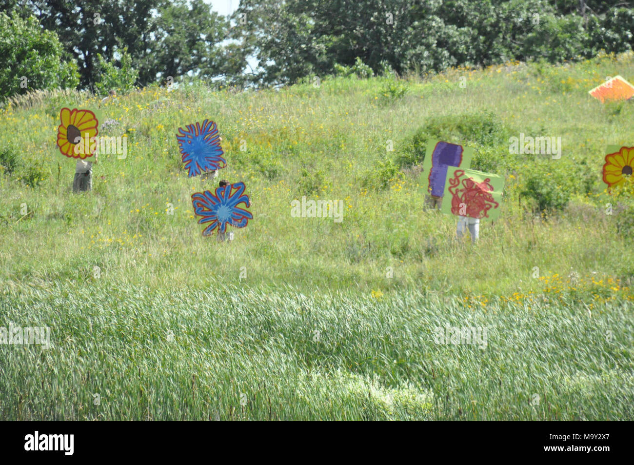 Wetlands meadow preserve hi-res stock photography and images - Alamy