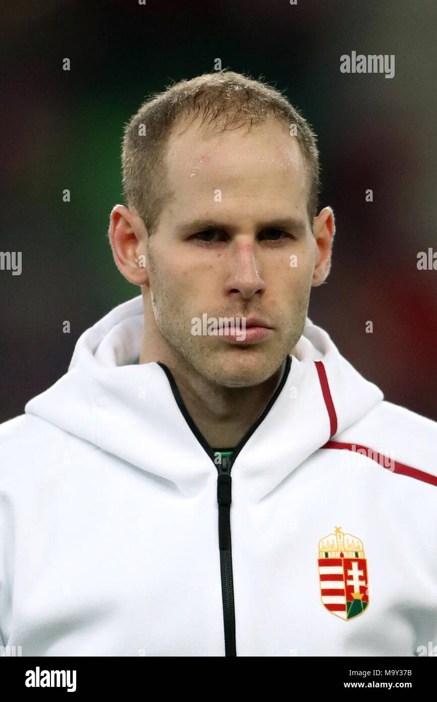 Hungary Goalkeeper Peter Gulacsi Stock Photo - Alamy