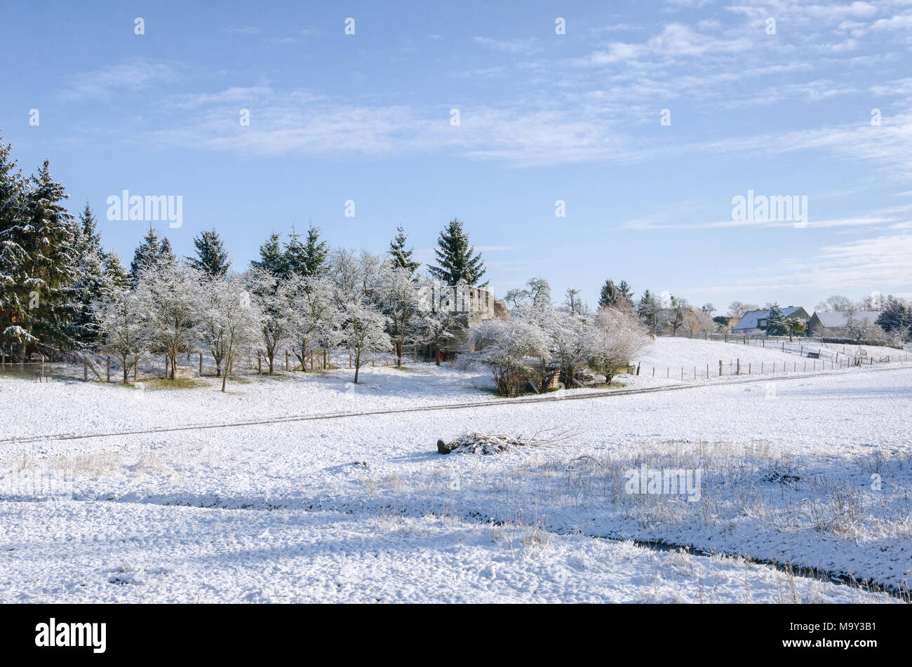 Village Surrounded By Trees High Resolution Stock Photography and ...