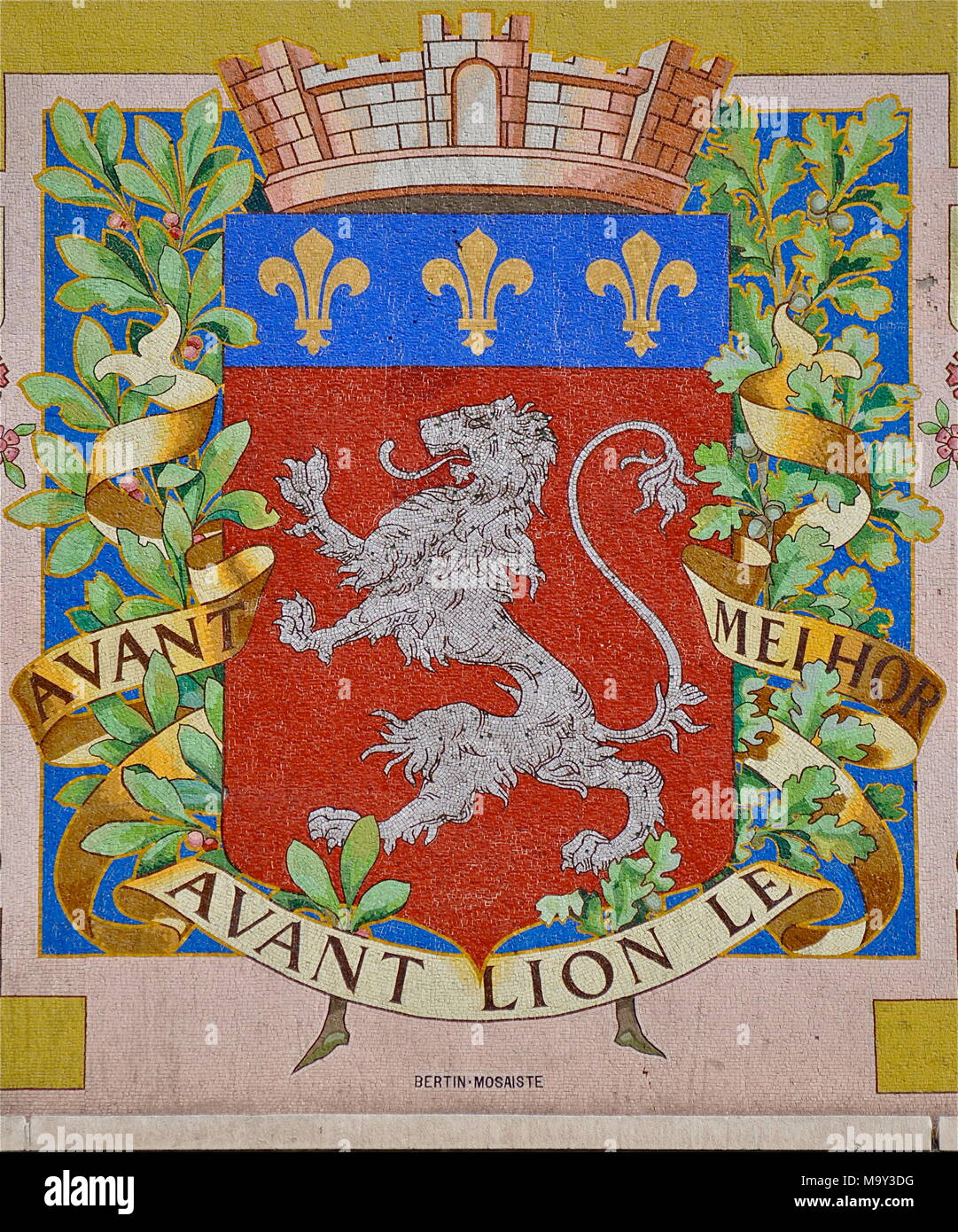 Lyons shield hi-res stock photography and images - Alamy